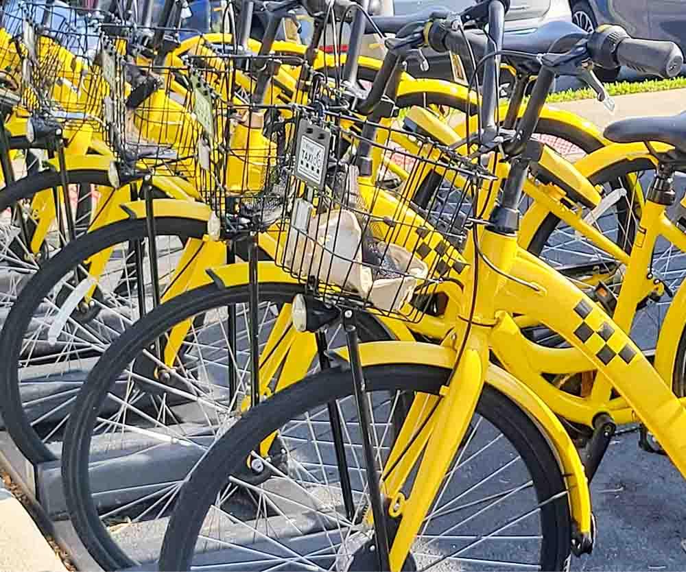 The future of the bike industry: trends, developments, and M&A ...